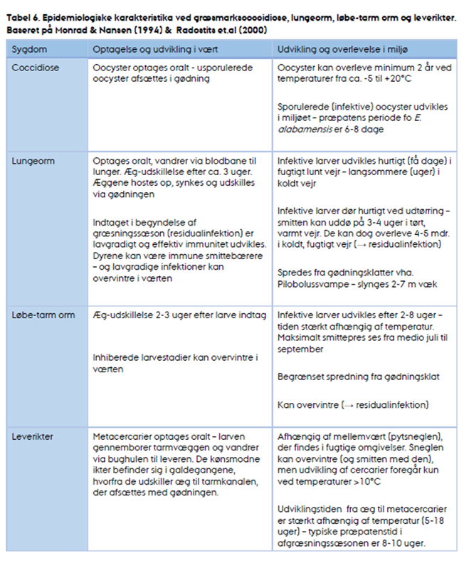 Kvier og kalve på græs - KvægXperten